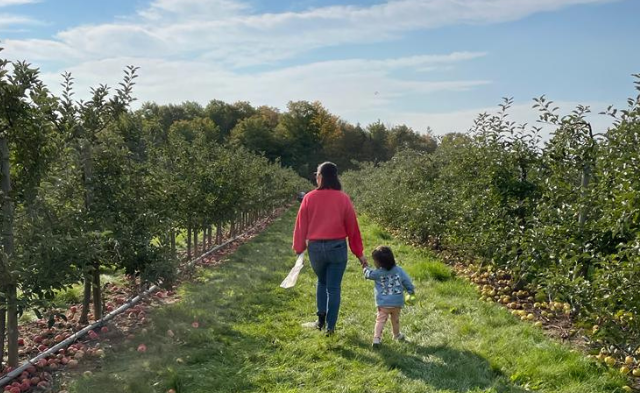 Apple Picking Near Toronto & The GTA – Jenny & Andy